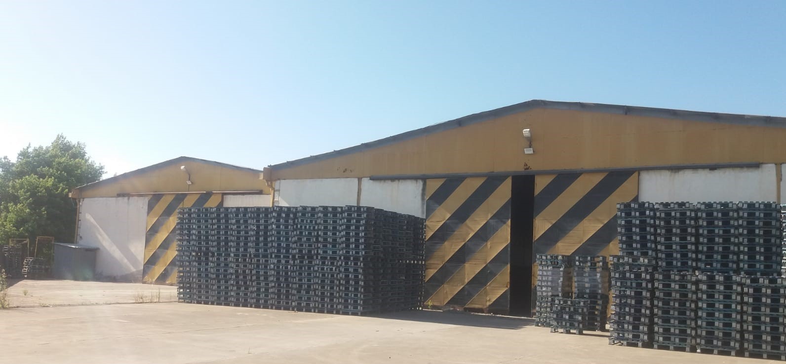 Balorman INT – Balorman INT